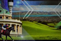 Entain Launches "Betcha" Betting Platform in New Zealand